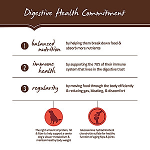 Holistic Select Natural Pet Food Holistic Select Natural Grain Free Dry Dog Food, Senior Chicken Meal & Rice Recipe, 24-Pound Bag