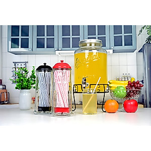 Straw Dispenser with Stainless Steel Lid | Glass Red Straw Holder for Counter with Lid | Drinking Straw Dispensers | Straw Container | Holds Straws up to 8.5 Inches, Red