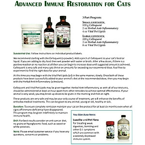 Vitality Science Advanced Immune Restoration Supplements for Cats | Intense Regeneration Protocol | Helps with Pain Relief (Small)