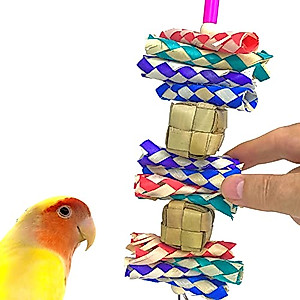 Bonka Bird Toys 3848 Duo Boxy Cube Small Medium Bird Toy Natural Palm Box Crunch Bamboo Treat Traps Forage Chew Cockatiel Parakeet Conure African Grey