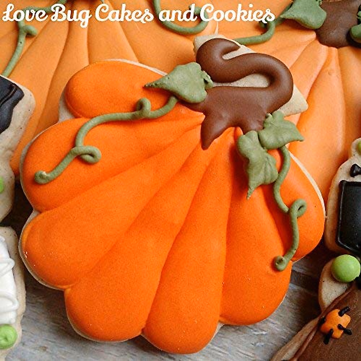 Seashell Cookie Cutter, 3.25" Made in USA by Ann Clark