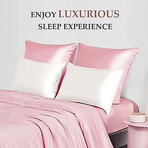 OLESILK 22 Momme Mulberry Silk Pillowcase Queen Size 20''x30'', 100% Pure Silkfor Hair and Skin with Hidden Zipper, Both Sides 750 Thread Count Washable Real Silk Pillow Cover, Ivory