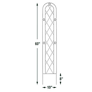 Arcadia Garden Products TR02 Arched Garden Trellis, 5' x 10", Black