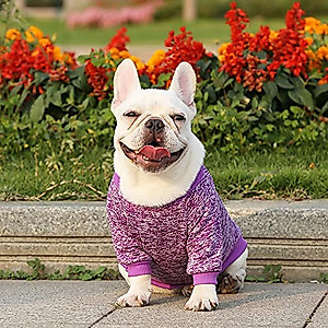 Dog Sweater Classic Dog Sweaters for Small Medium Dogs Warm and Soft Small Dog Sweater Puppy Sweaters for Small Dogs Winter Pet Dog Cat Sweater Clothes for Girls or Boys