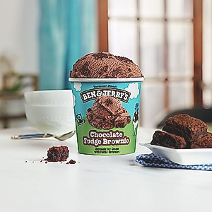 Ben & Jerry's Chocolate Fudge Brownie Ice Cream Pint Non-GMO 16 oz