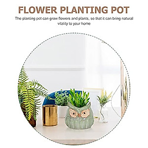 Happyyami Outdoor Decor Pots Ceramic Animal Owl Planter Novelty Flower Pots Small Desk Animal Statue Porcelain Plant Pot Bonsai Container for Home Office Tabletop Decorations Home Decor