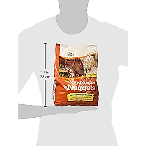 Manna Pro Bite-Size Carrot & Spice Flavored Nuggets, 4 lb