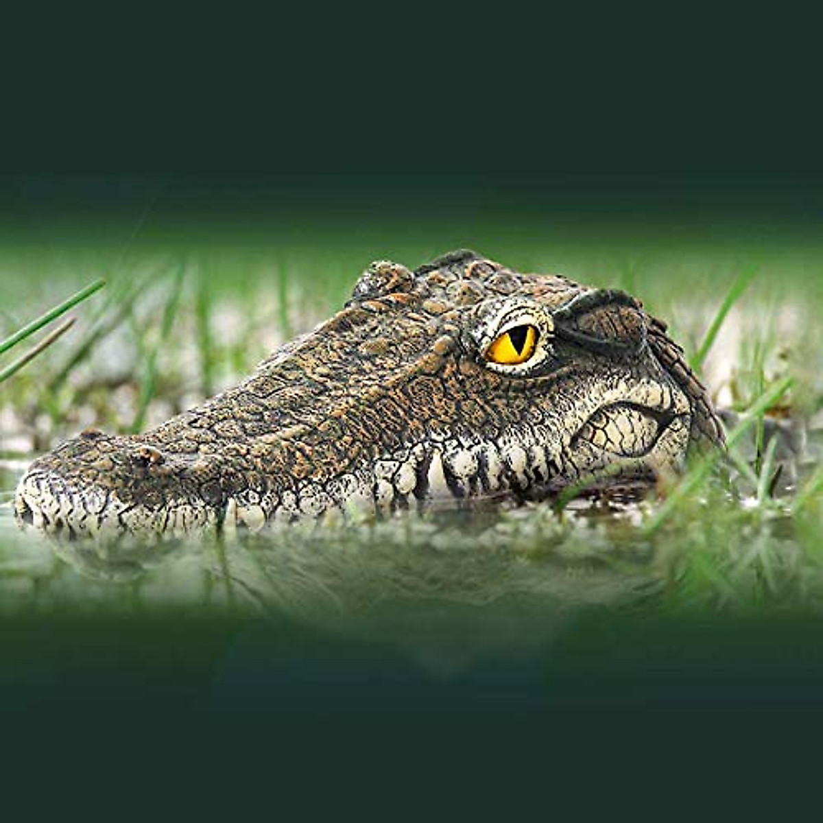 GARTENGERATE Pond Floating Alligator Head Decoy, Outdoor Pools Float Fake Gator Head Deterrent Ducks, Crocodile Head for Decorations, Swimming Pool, Koi Pools, 13 x 5.5 x 2.8 Inches
