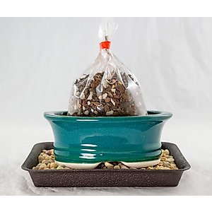 5.75" Oval Teal Green Bonsai/Succulent Pot + Soil + Tray + Rock + Mesh Kit