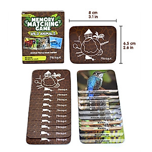 Menique, Wild Animals, Memory Matching Game