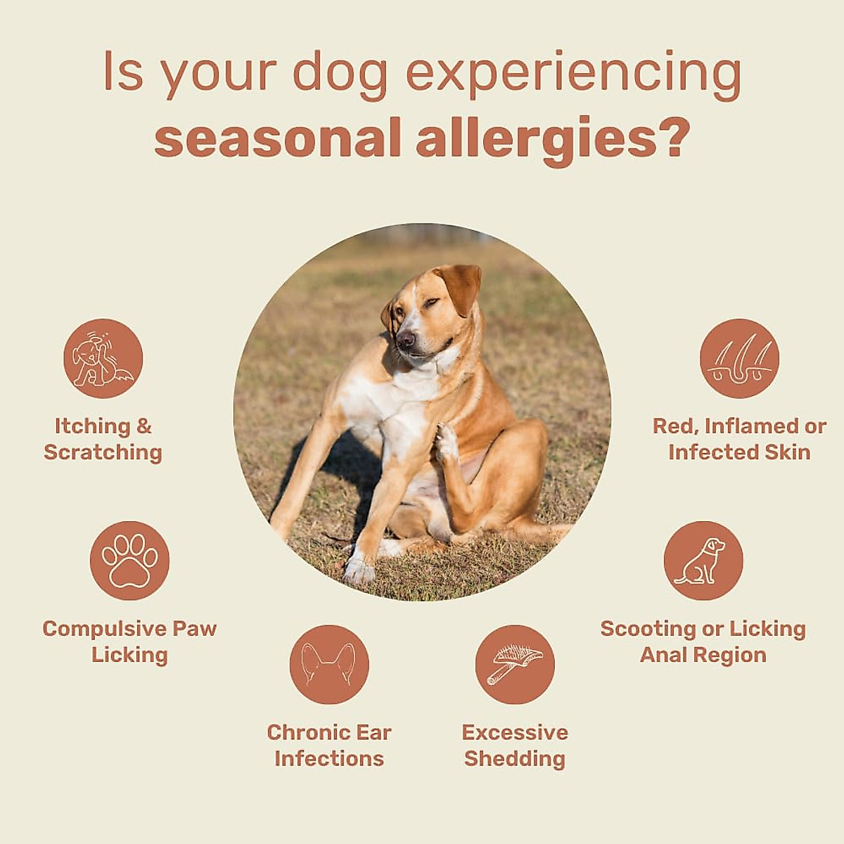 Canine Keeps Dog Allergy Chews - Itch Relief for Dogs – Omega 3 Salmon Fish Oil, Probiotics & Quercetin - Immune Support & Dog Allergy Relief Chews – Digestion + Skin & Coat Health - 90 Ct.