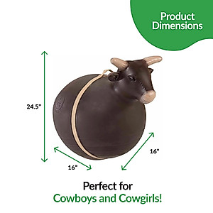 Big Country Toys Bouncy Bull Kids Toys - Rodeo Ride On Toys for Ages 3+ - Bouncy Animals for Toddlers - Inflatable Kids Hopper Toy with Hand Pump