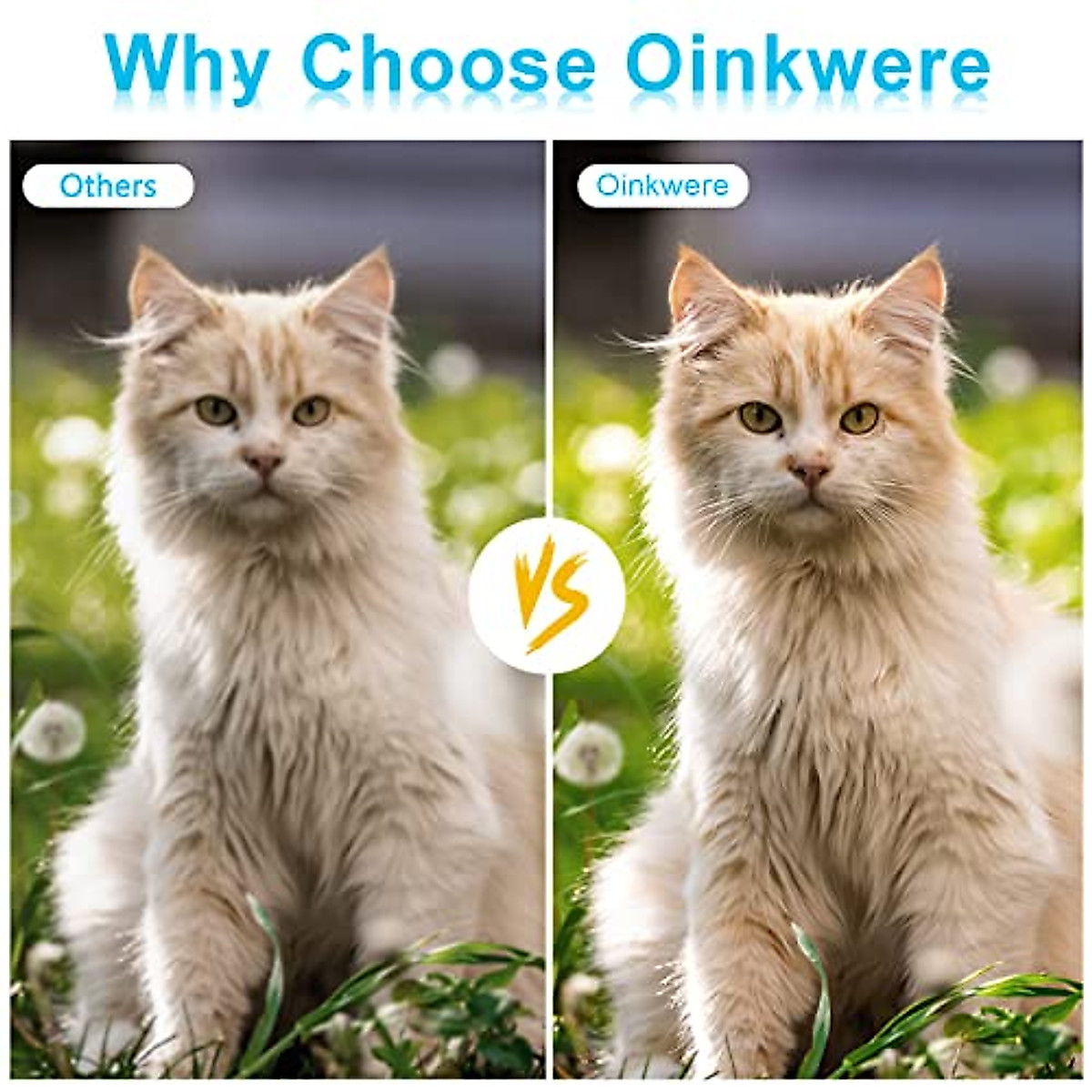 OINKWERE Remanufactured 410XL Ink Cartridges Replacement for Epson 410 XL T410XL to use with Epson Printers Expression XP-7100 XP-830 XP-640 XP-630 XP-635 XP-530 (5-Pack)