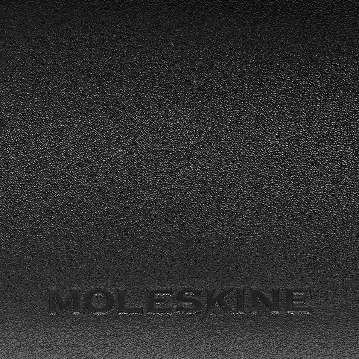 Moleskine ET20SCBKHBK Classic Horizontal Backpack, Black