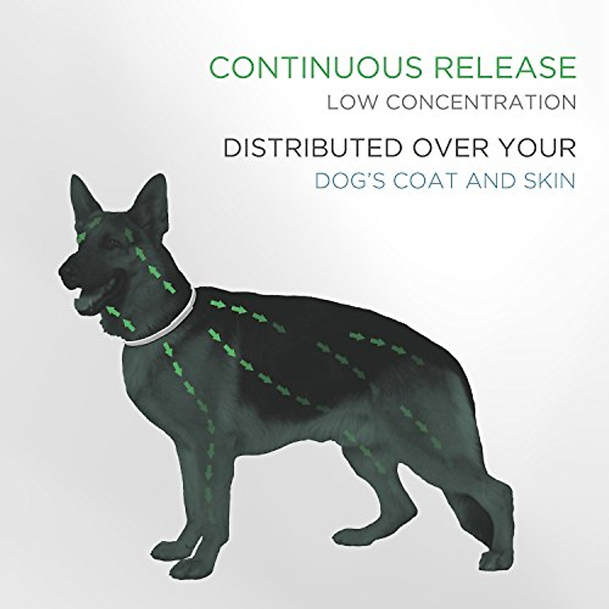 8-Month Protection Dog Flea Collars & Tick Collar - No Irritation, Baldness, or Side Effects - Suitable for Small, Medium, Large Dogs - 25 lnch - Natural flea and tick Collar for Dogs - 1 Pack