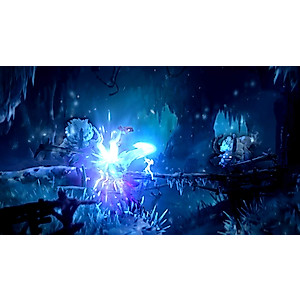 Ori and the Will of the Wisps (Nintendo Switch)