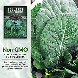 Survival Garden Seeds - Georgia Southern Collards Seed for Planting - Pack with Instructions to Plant and Grow Healthy Collard Greens in Your Home Vegetable Garden - Non-GMO Heirloom Variety - 5 Packs