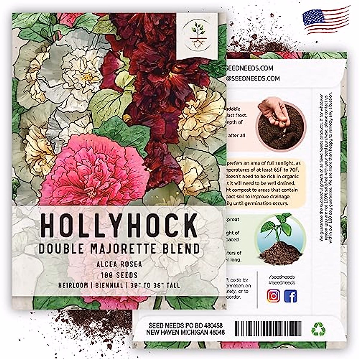 Seed Needs, Double Majorette Hollyhock Seeds - 100 Heirloom Flower Seeds for Planting Alcea rosea - Mixed, Biennial, Attracts Pollinators (1 Pack)