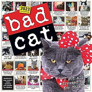 Bad Cat Wall Calendar 2023: Celebrating the Misfits of the Feline World