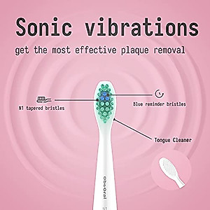ObeOral Sonic Electric Toothbrush, 12 Modes Rechargeable Tooth Brush with 4 Dupont Bristles, Smart Timer, Whitening Electric Toothbrushes for Adults and Kids 8+, Light Pink