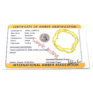 TipTopEco Baltic Amber Adult Necklace (Women and Men) - 17.7 Inches Long - Raw Unpolished Beads (Rainbow, 17.7)