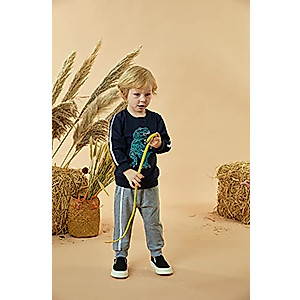 HIHA Dinosaur Outfits Boys 12-18 Months T-Rex Dinosaur Clothes Toddler Boy Sweatsuit Long Sleeve Navy Sweatshirts Grey Jogger Pants Set Little Boys Fall Winter Outfits(Gray, 12-18 Months)