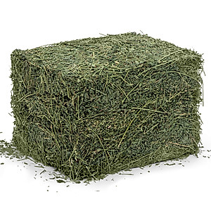 High Desert Alfalfa Hay - Dried Natural Alfalfa Hay for Rabbits, Guinea Pigs, Chinchillas, and Ferrets - Protein and Fiber Rich Food for Small Animals - Healthy Pet Food