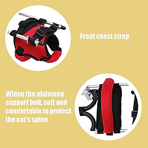 Cat Wheelchair Adjustable 2 Wheels Pet Wheelchair Lightweight Cat Barrier Wheels for Rehabilitation Aid for The Back Legs of Aging, Disabled, Injured, Arthritis, Weak Cats/Pets (M)