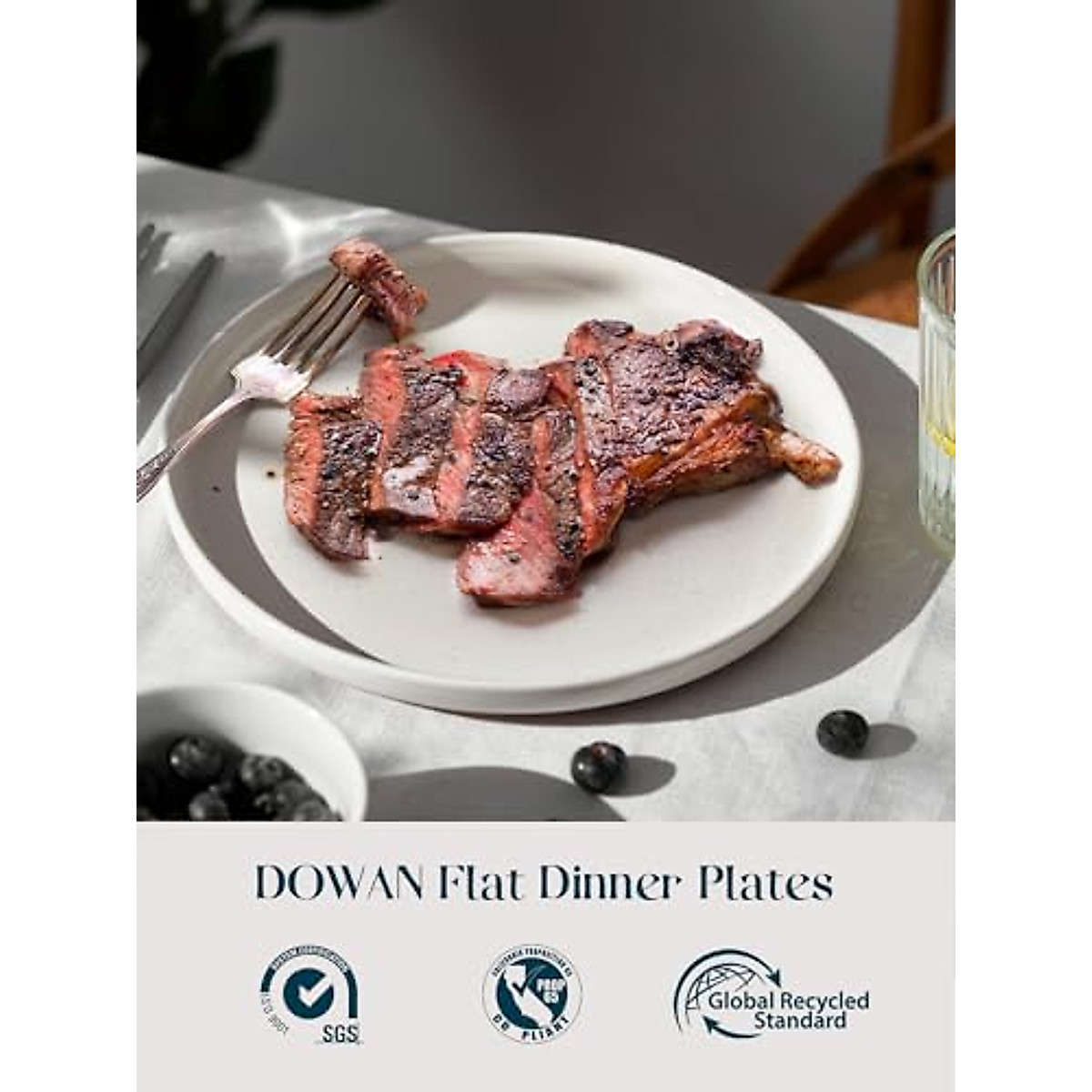 DOWAN 10.5” Moon-White Sesame Glaze Large Dinner Plates Set of 6, Porcelain Ceramic, Microwave, Oven & Dishwasher Safe, Elegant Design Perfect for Daily Dining, Family Gatherings, Parties & Gifts