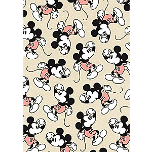 Mickey Mouse Museum Postcards