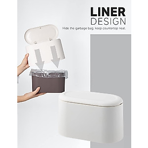 MONGTINGLU Mini Trash Can with Lid - Removable Small Garbage Can, Tiny Plastic Trash Bin, Pop Up Countertop Wastebasket, Counter Garbage Lint Bin for Bathroom,Office,Kitchen,Desk,Coffee Table(White)