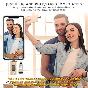 USB Flash Drive 256GB 3.0 USB Flash Drive Type c Flash Drive YSeaWolf photostick Mobile for USB External Storage, Type c, Android, PC USB Picture Stick USB Memory Stick for Phone Gold