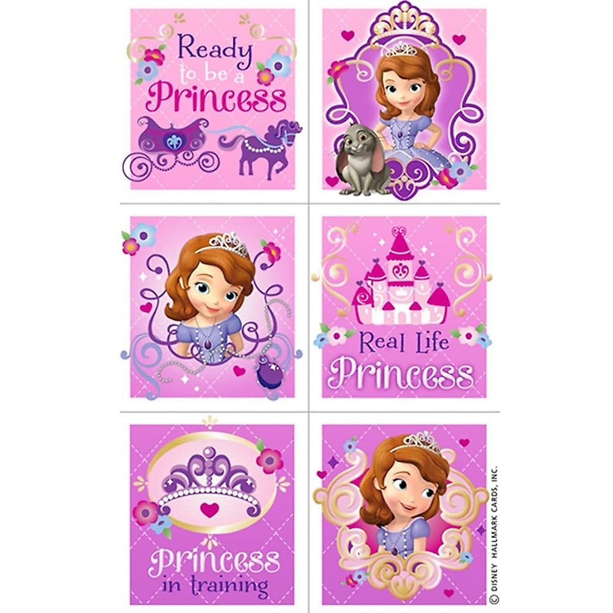 Disney Princess Tote Bag Set for Kids, Adults - 4 Pc Large Princess Reusable Grocery Bags with Disney Sofia the First Stickers (Princess Party Supplies)