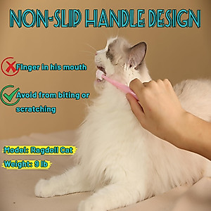 E.M&S.T by Emmeliestella Small Dog & Cat Toothbrush 360 Degree Soft Silicone, Cat Dental Care, Toothbrush Holder, Easy to Handle, Independent Packaging, Extra Suction Cup, Light Blue&Light Pink 3PCS