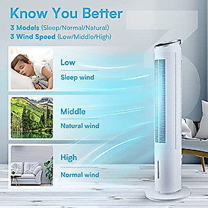 Trustech Evaporative Cooler - 40" Portable Air Cooler with 70° Oscillating & Humidifying, 3 Speeds & 3 Modes, 8H Timer, Cooling Tower Fan with Remote,2 Ice Boxes, Quiet Swamp Cooler for Rooms, Office