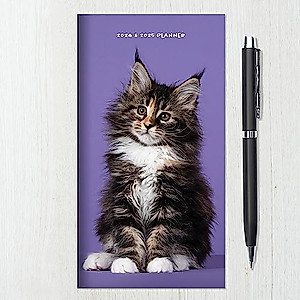 TF PUBLISHING 2024-2025 Kittens 2-Year Small Monthly Pocket Planner | 2-Page Large Calendar Grid and Lined Notes Section in Back | Monthly Day Planner for Purse | 3.5" x 6.5"