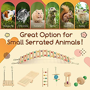 Nobleza Guinea Pig Toys, 7 Pack Natural Wooden Hamster Chew Toy Set, Teeth Care Molar Exercise Toys for Pet Rats, Dwarf Syrian Hamsters, Chinchillas, Gerbils