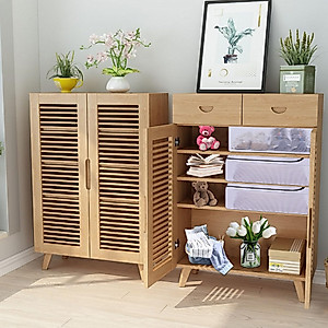 COAINNER Shoe Organizer for Closet, 16-Inch Shoe Storage Containers Boxes with Metal Frame, Clear Cover, Foldable, Stackable (1 Pack)