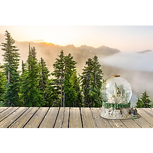 Enesco - 6004342 Wizarding World of Harry Potter Hogwarts Castle Water Globe, 7.1", Multicolor