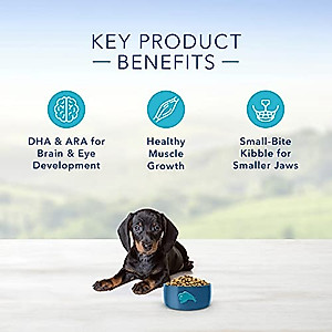 Blue Buffalo Life Protection Formula Natural Puppy Small Breed Dry Dog Food, Chicken and Oatmeal 5-lb Trial Size Bag