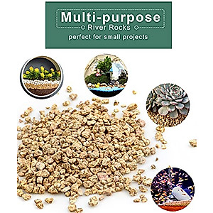 Succulent and Cactus Gold Maifanitum Stones, 2lb Bonsai Decorative Rocks, Indoor Plants Soil Covers, Bonsai DIY Gritty, Horticultural Grit, Potting Pebbles for Terrarium, Fairy Gardening, Top Dressing