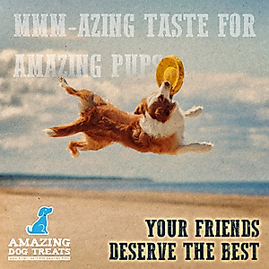 10-11 Inch Meaty Beef Femur Bone (Single Count) - (Made in USA) - Premium American Grade Grass Fed Cattle Bones for Dogs- Beef Femur Shin Bone Dog Chews