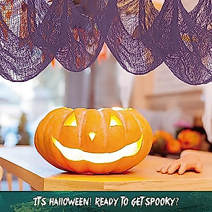 Riare 6 Pack Halloween Creepy Cloth 30 x 75 Inch- Spooky Scary Fabric Black Gauze Cloth for Halloween Party Haunted House Home Wall Doorway Outdoors Decoration(2 Black, 2 Purple, 2 White)