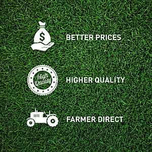 Hancock's Pensacola Bahia Grass Seed - Coated - 50 lbs.