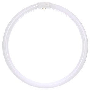 Sunlite 41315 FC12T9/CW T9 Round Fluorescent Circline Lamp, 32 Watts, 2100 Lumens, 4100K Cool White, RoHS Compliant, G10Q 4-Pin Base, 1 Pack