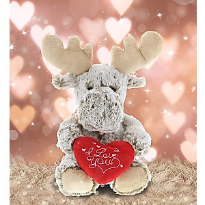 DolliBu I Love You Valentine Plush Sitting Moose - Cute Stuffed Animal with Red Heart and Name Personalization Gift for Valentine's Day, Birthday, Anniversary, Romantic Date - 11 Inches