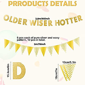 Older Wiser Hotter Birthday Banner, Funny Birthday Decorations for Adults Party Decorations, Happy Birthday Sign Birthday Decorations for Women Men, 30th 40th 50h 60th 70th Birthday Decor Supplies