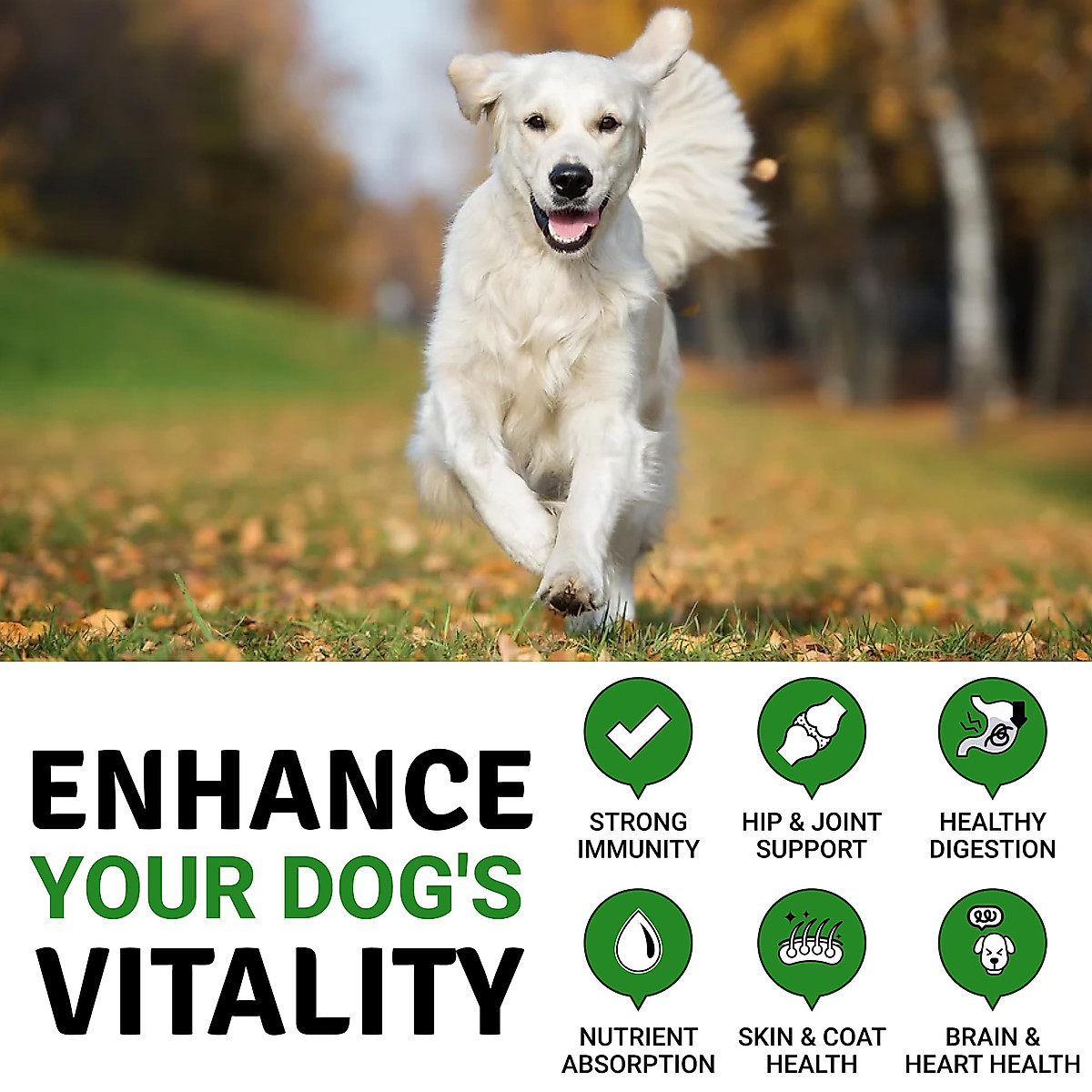 Dog Multivitamin Chewable Supplement - Dog Vitamins + Glucosamine, Omega, Probiotics - Hip & Joint Support, Skin & Coat, Gut Health - Adult & Senior Dog Treats