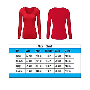 LINDLOOK Women's Slim Fitted V Neck Long Sleeve T Shirt Basic Soft Cotton Tops(Black/V-Neck,L)