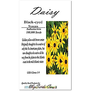 Big Pack - (100,000+) Black Eyed Susan Flower Seeds - Self Reseeds Rudbeckia hirta - Perfect Golden Cut Flowers - Flower Seeds by MySeeds.Co (Big Pack - Black Eyed Susan)